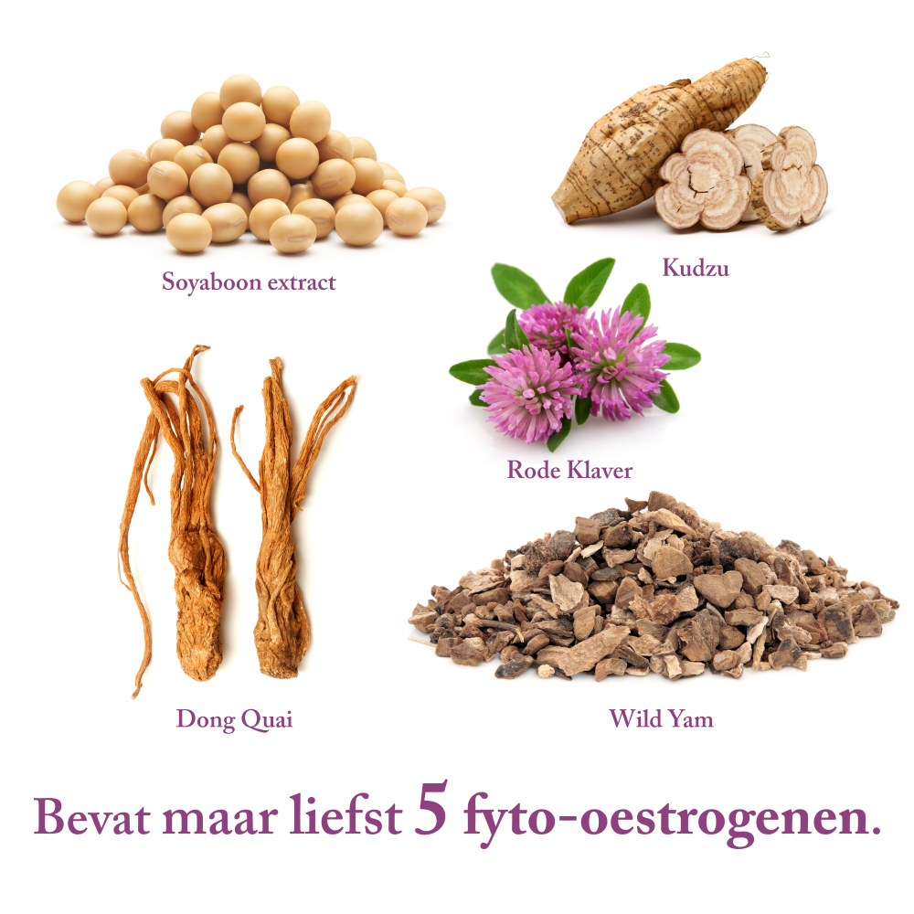 Femeno 1 | natural support for low estrogen levels